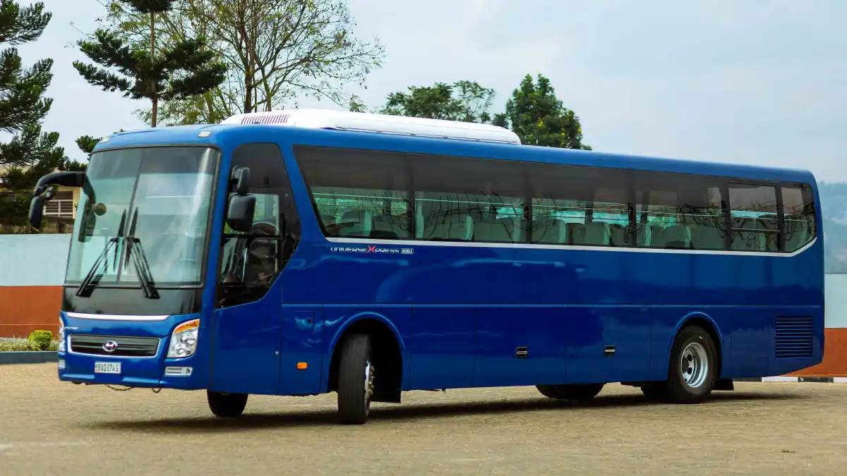 Sapnuoti Autobusą 🚌 Ką reiškia Autobusas sapne? 🔮 bling.lt